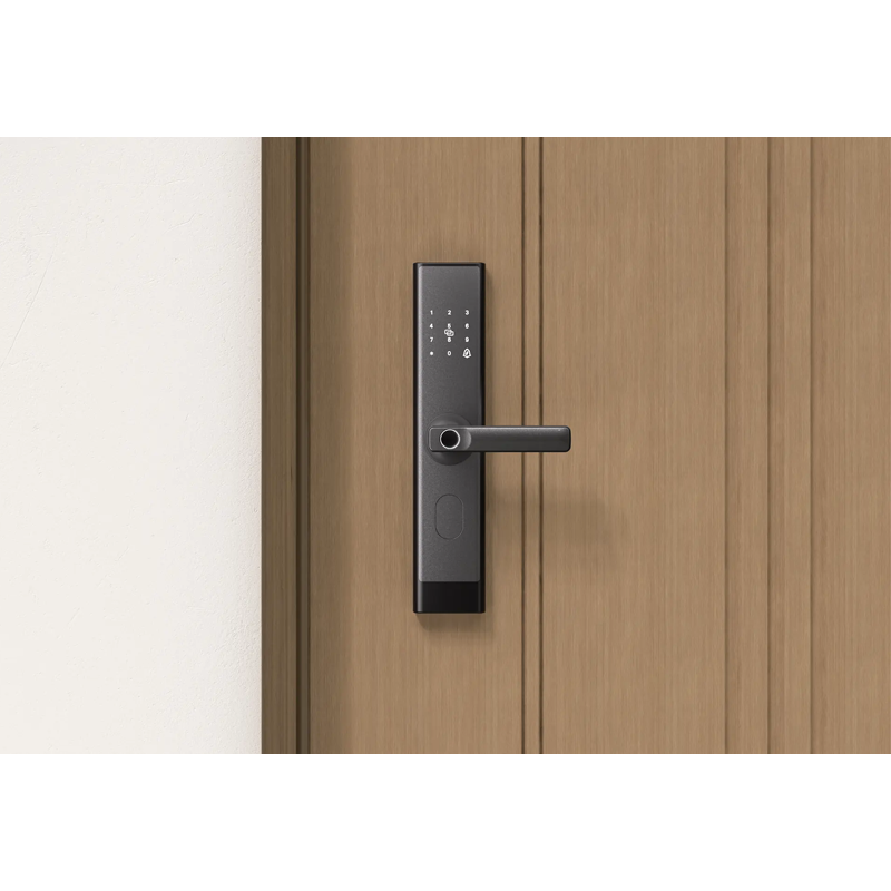 Smart Door Lock C200 - LifeSmart – iSale by 990store